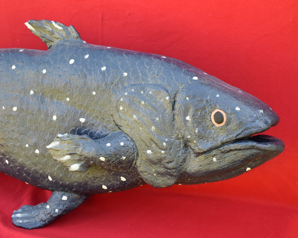 Coelacanth, life size model #3165 | Prehistoric Planet Store