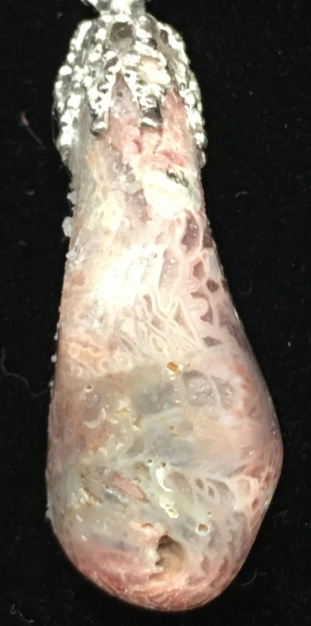 WV Coral Pendant, Petoskey Stone, (Lithostrotionella), Fossil State ...