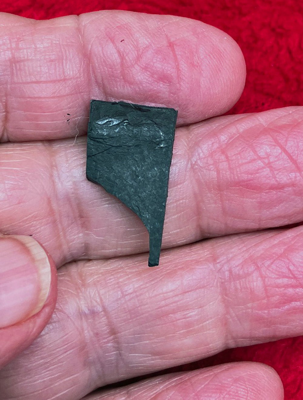 Authentic Dinosaur Extinction Event Layer K-PG (K-T) Boundary Soil ...