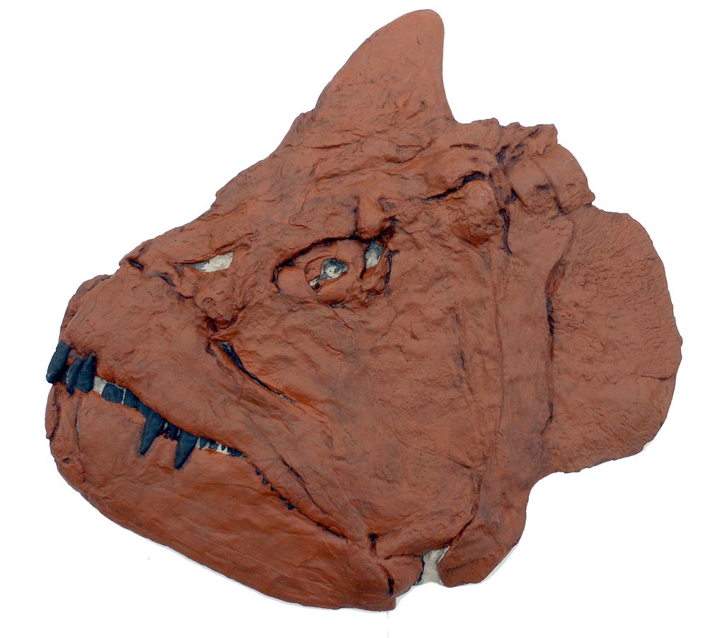 Xiphactinus audax, skull #2411 | Prehistoric Planet Store