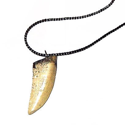 Tyrannosaurus rex Tooth Necklace Pendant #164 replica | Prehistoric ...