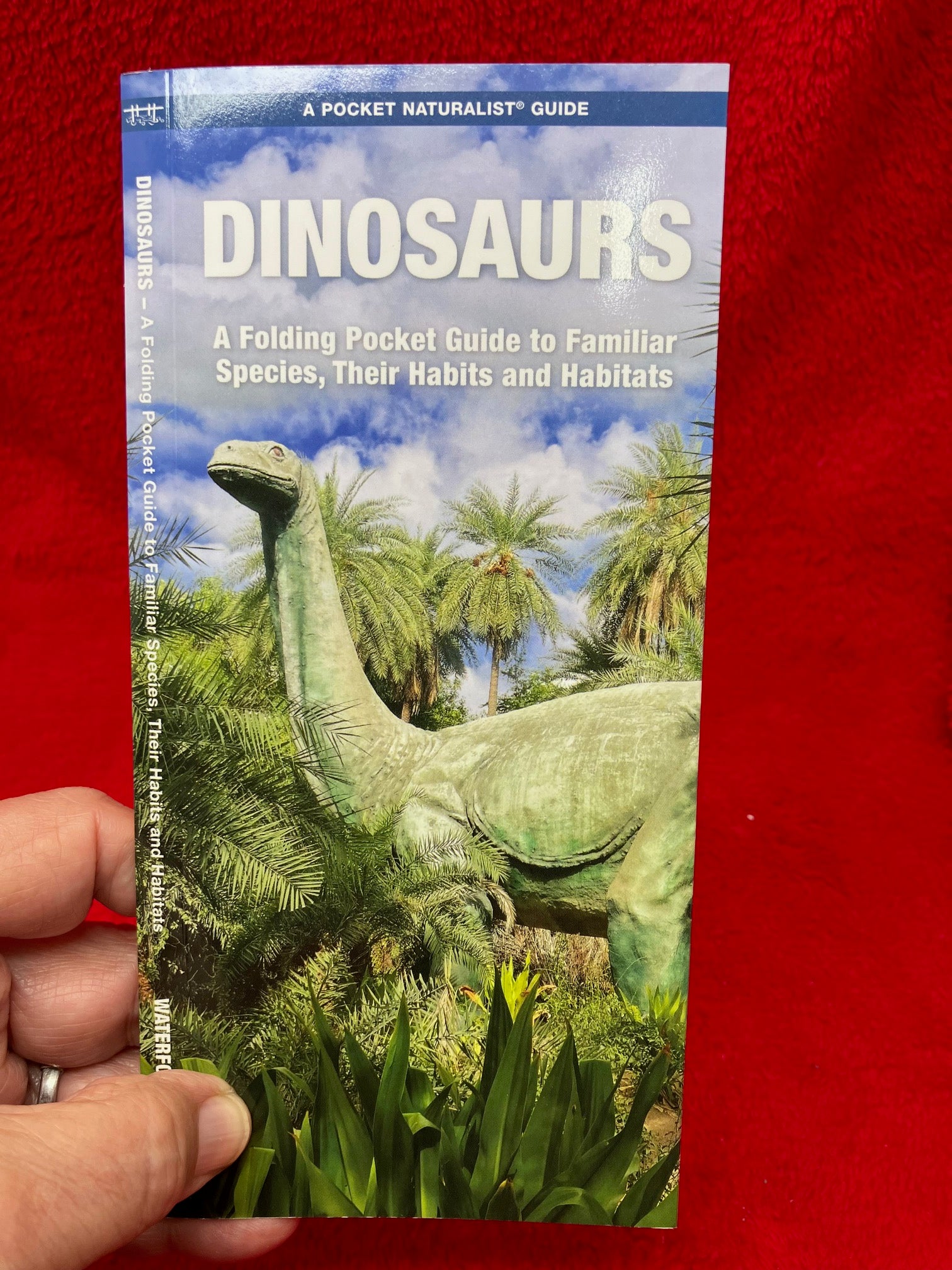 Dinosaurs A Folding Pocket Guide to Familiar Species, Their Habits and ...