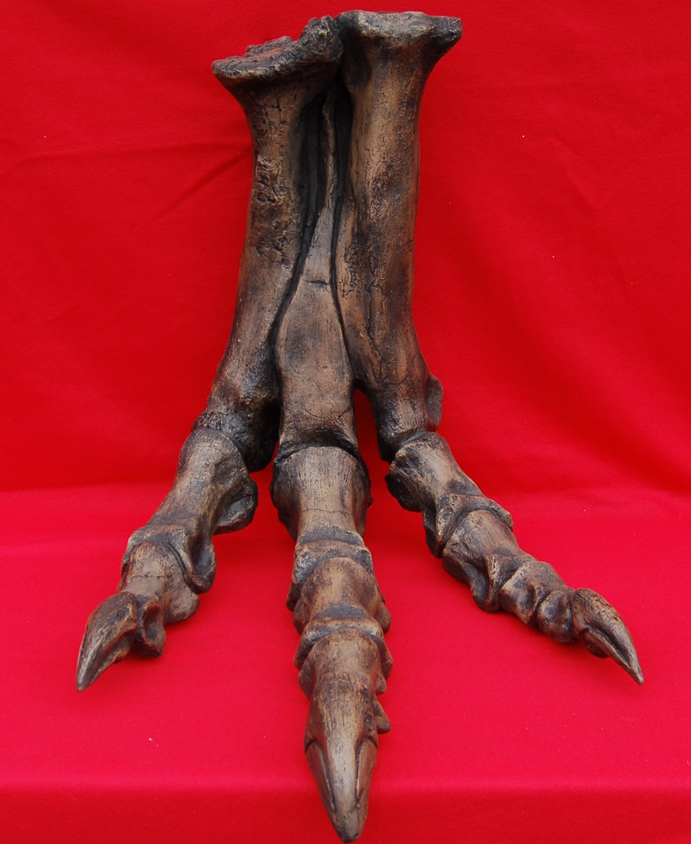 Tyrannosaurus rex, Left Foot #366 replica | Prehistoric Planet Store