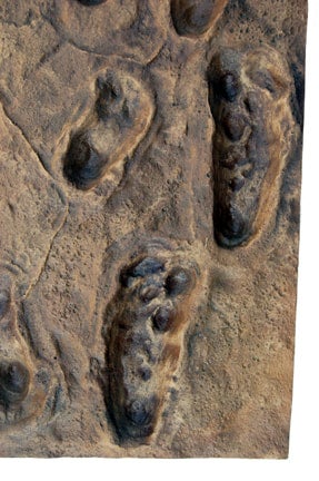 Laetoli, Australopithecus afarensis (early human footprints/tracks ...