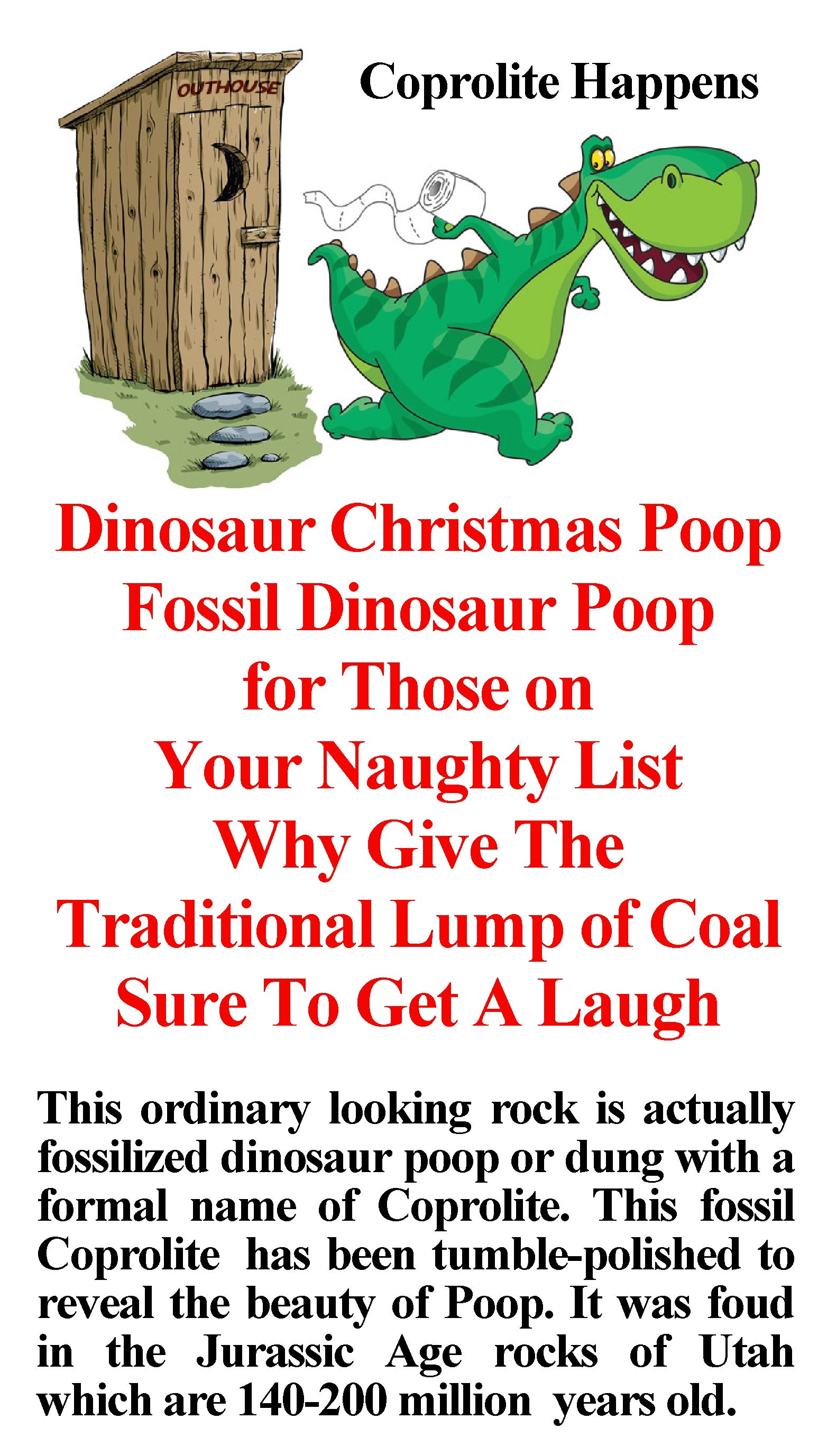 Authentic Fossil Poop for Christmas, 1 Piece of Dinosaur Coprolite ...
