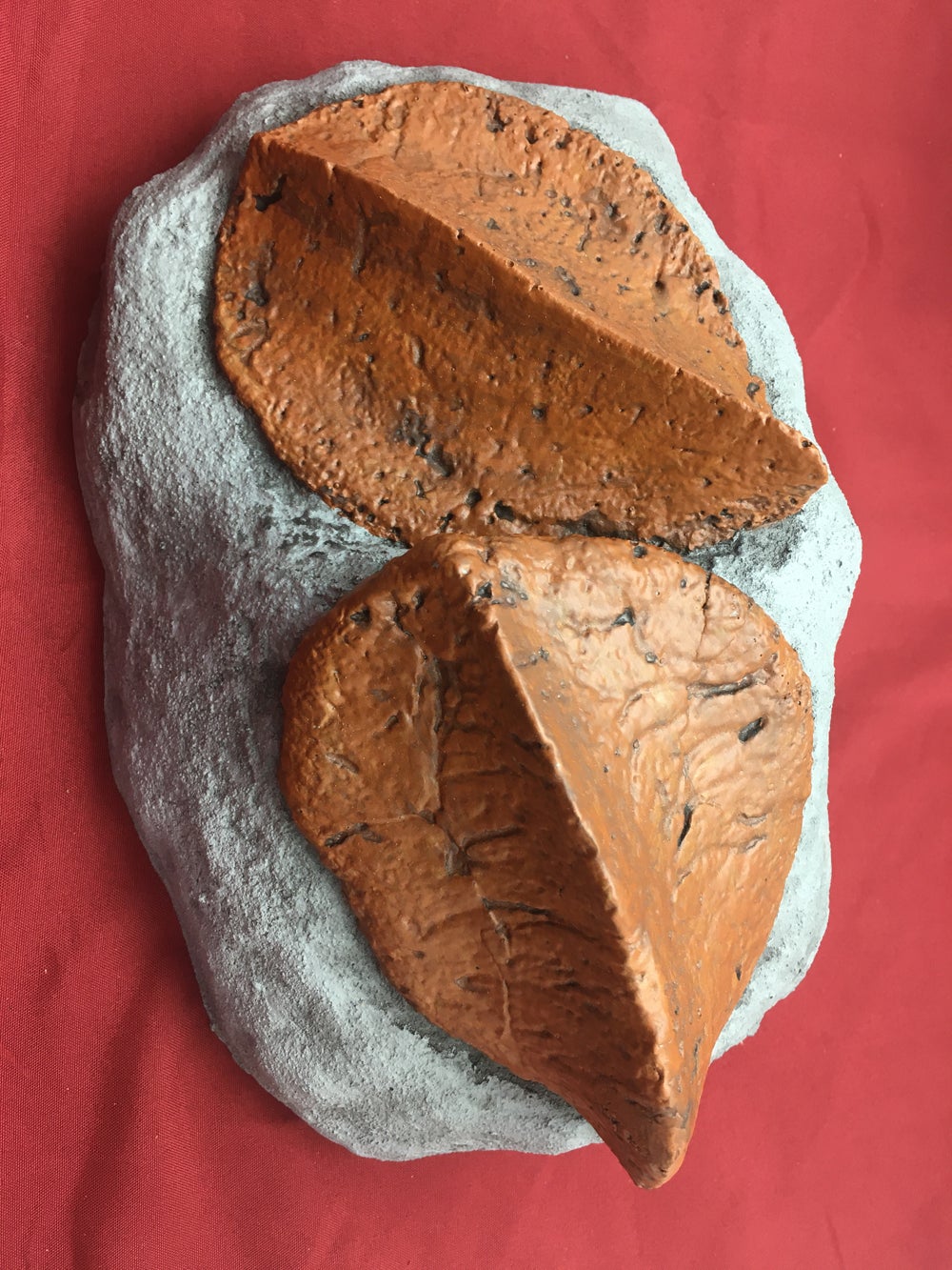 Ankylosaurus, 2 large osteoderm plates #3357 replica | Prehistoric ...