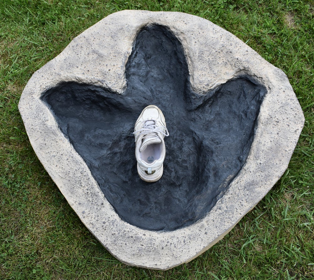 Tyrannosaurus rex, footprint track #830 | Prehistoric Planet Store