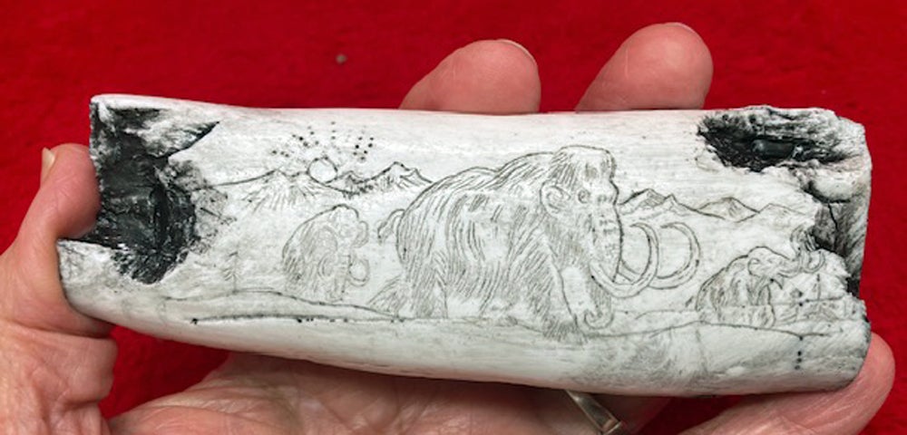 Woolly Mammoth Scrimshaw Carving, replica #4202 | Prehistoric Planet Store