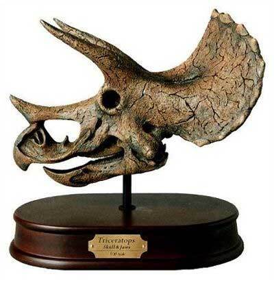 Triceratops 1/10 Scale Skull Model, Polyresin, #605 | Prehistoric ...