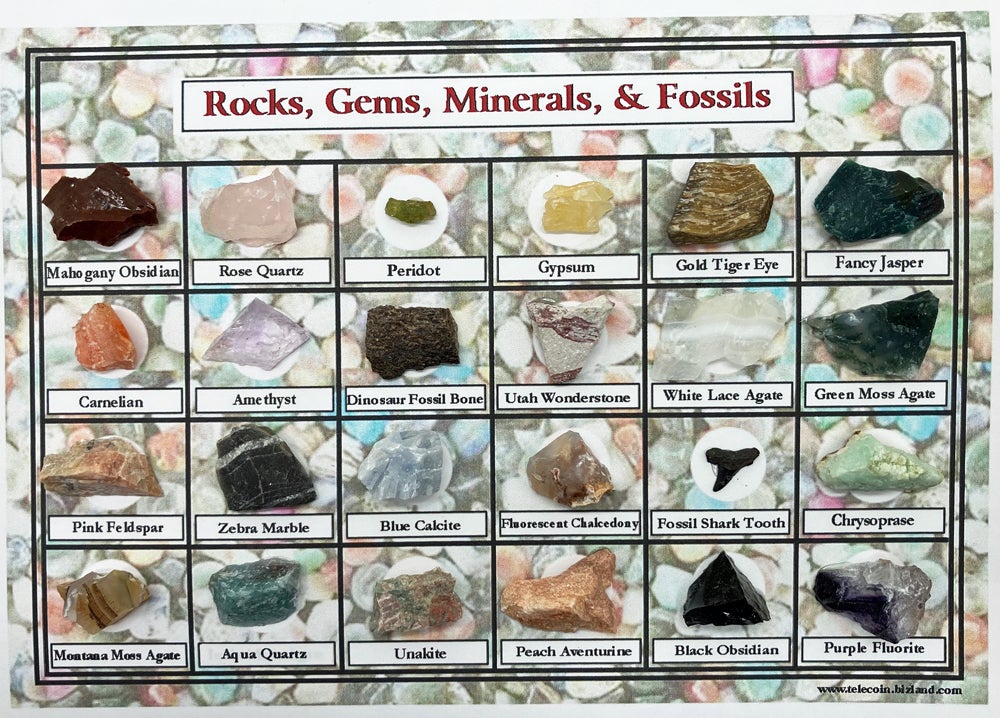 173 Piece Rock, Mineral, Gems, & Fossil Collection in 5 Kits #4241 ...